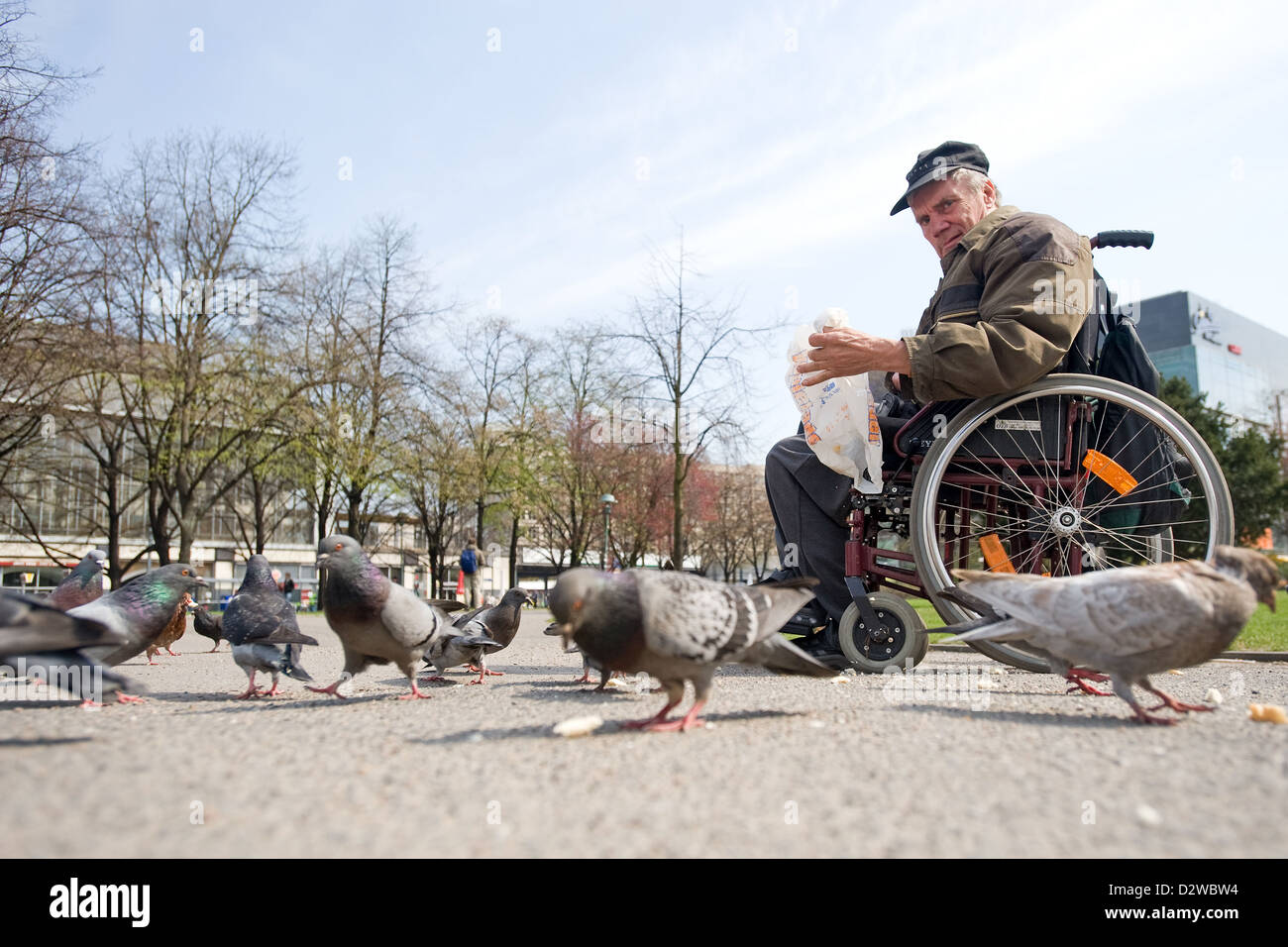 Disabled pigeon hi-res stock photography and images - Alamy