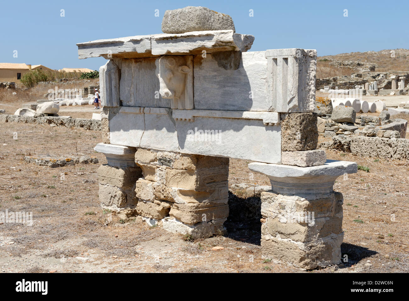 Delos Greece. Marble Bull head which adorned triglyphs of the Doric ...