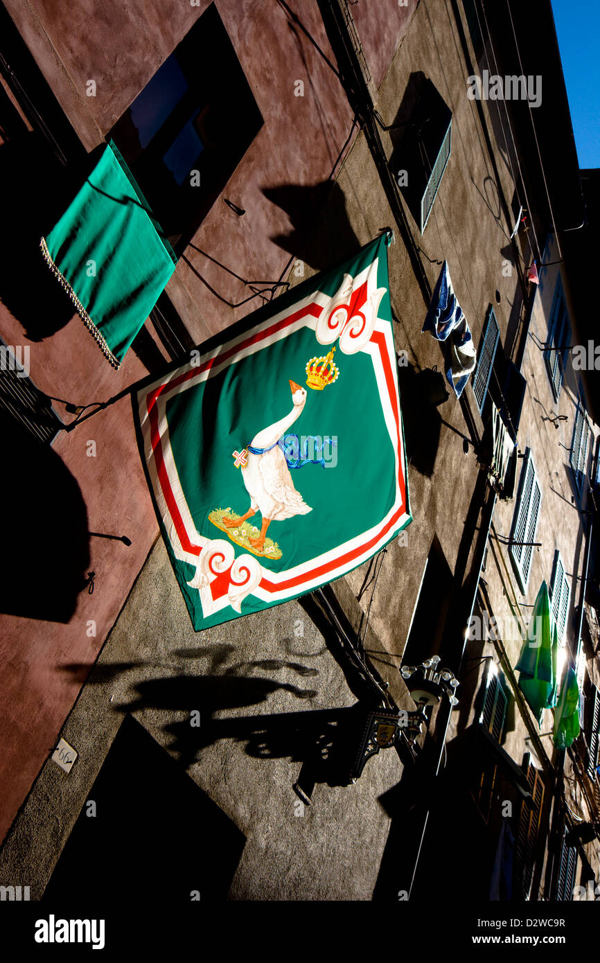 Oca (goose) contrade flag in the sunlight, Siena, Tuscany, Italy Stock ...