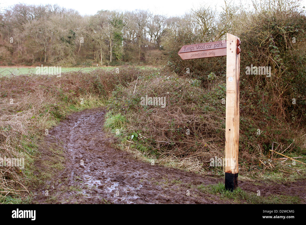New public footpath sign directing walkers up the muddy trail from The ...