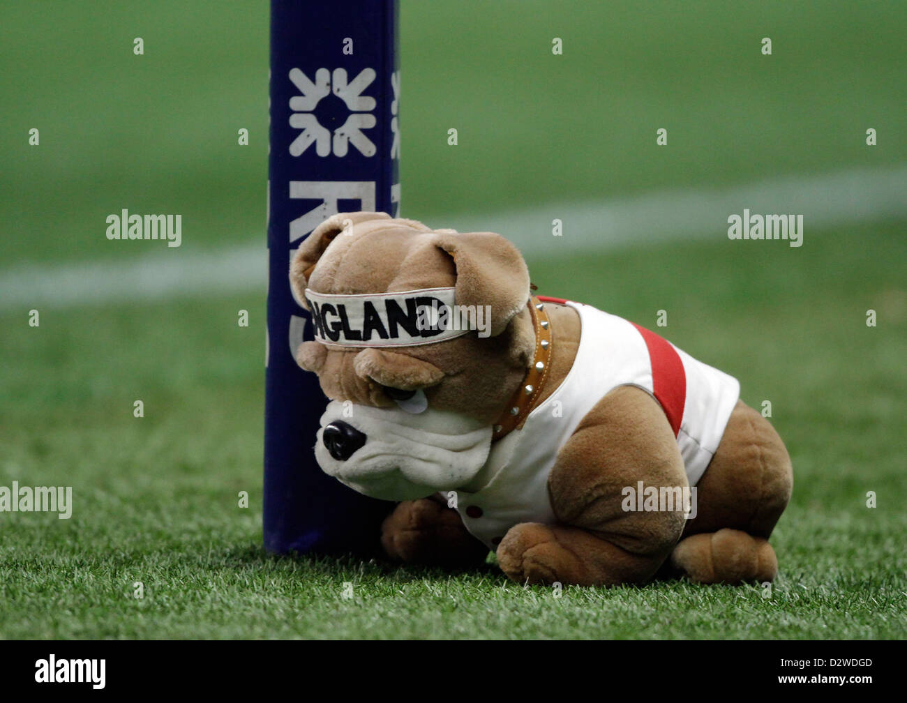 ENGLAND MASCOTT ENGLAND V SCOTLAND TWICKENHAM MIDDLESEX ENGLAND 02 ...