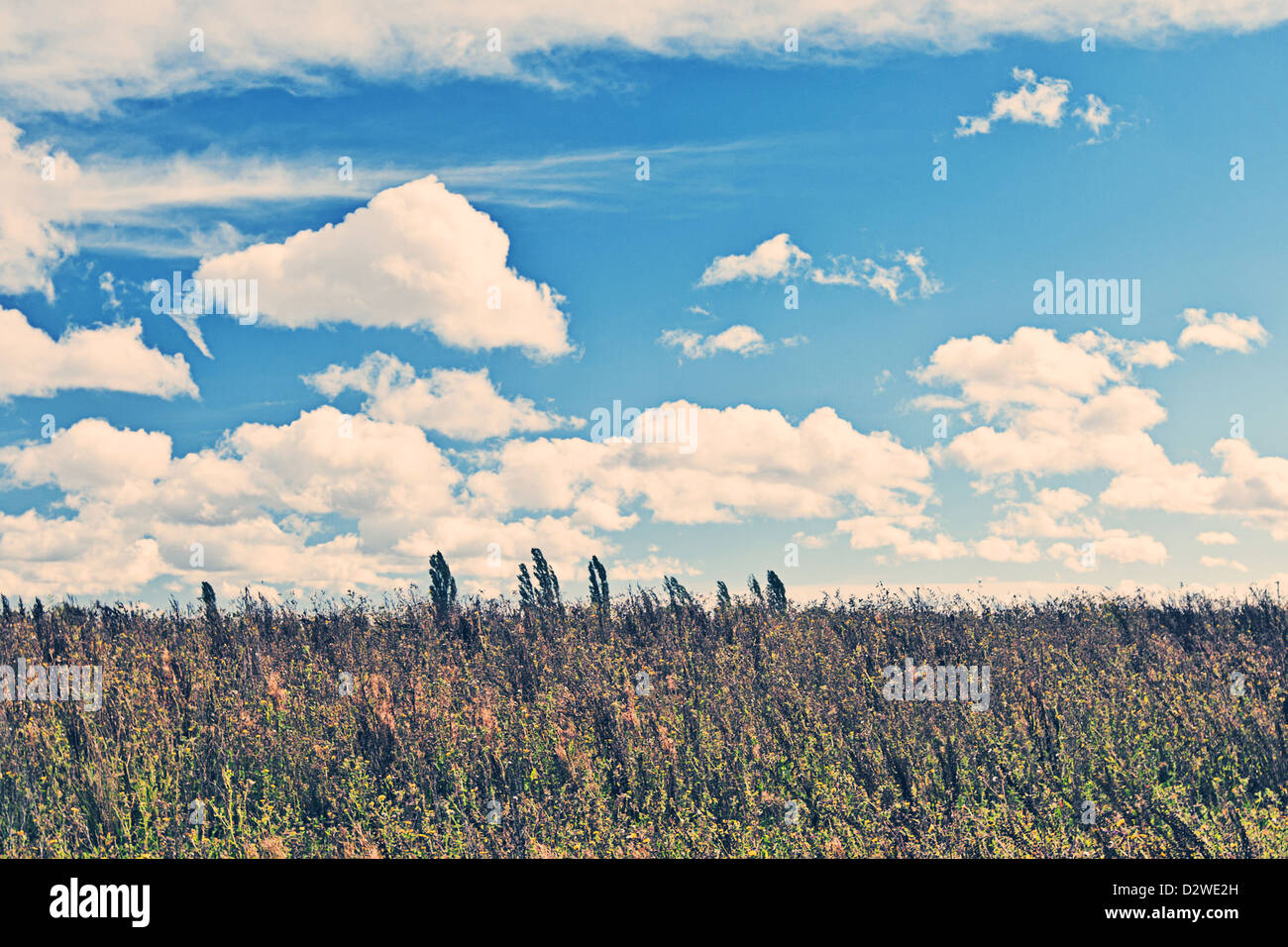 Set aside field hi-res stock photography and images - Alamy