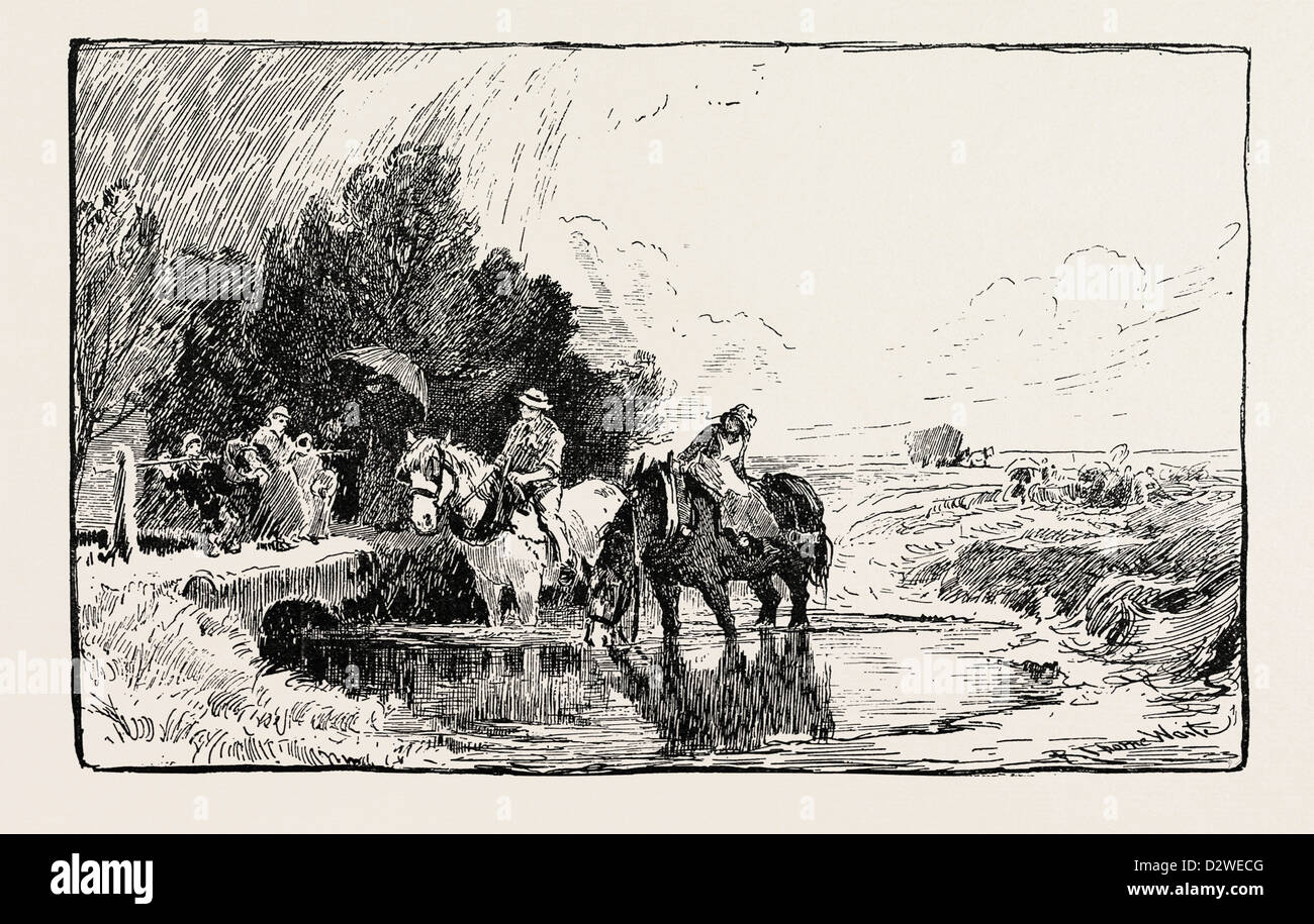 Waite High Resolution Stock Photography and Images - Alamy