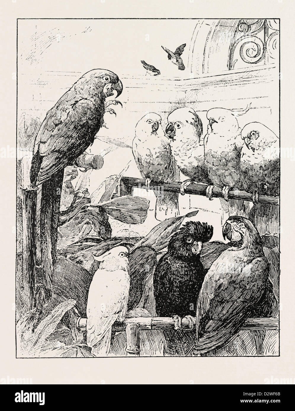 Mr. Stacy Marks's A SELECT COMMITTEE Stock Photo - Alamy