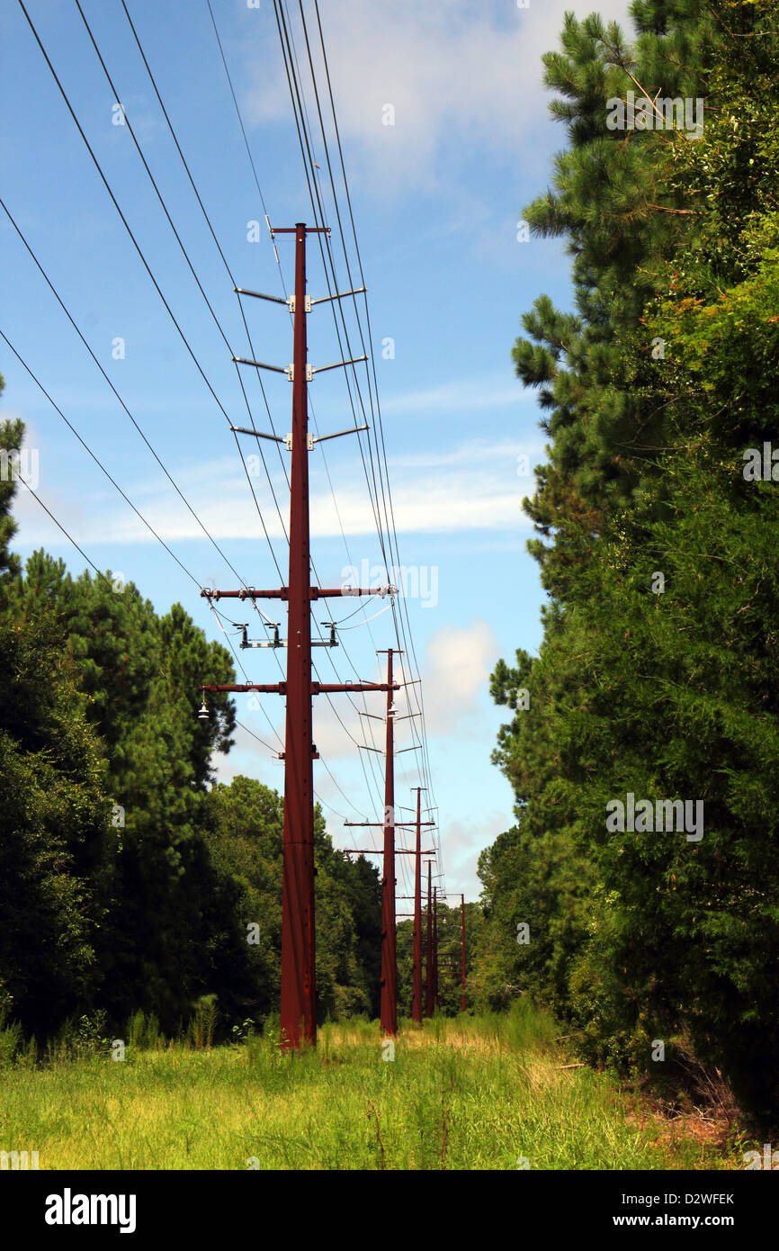 Power lines and towers cut through a wooded area against a blue sky ...