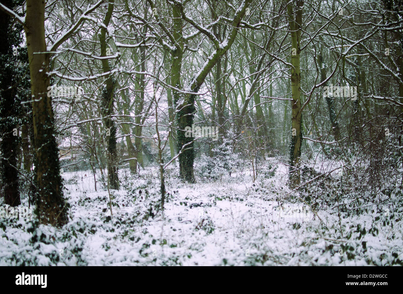 Thundersley Common In the Snow Stock Photo - Alamy