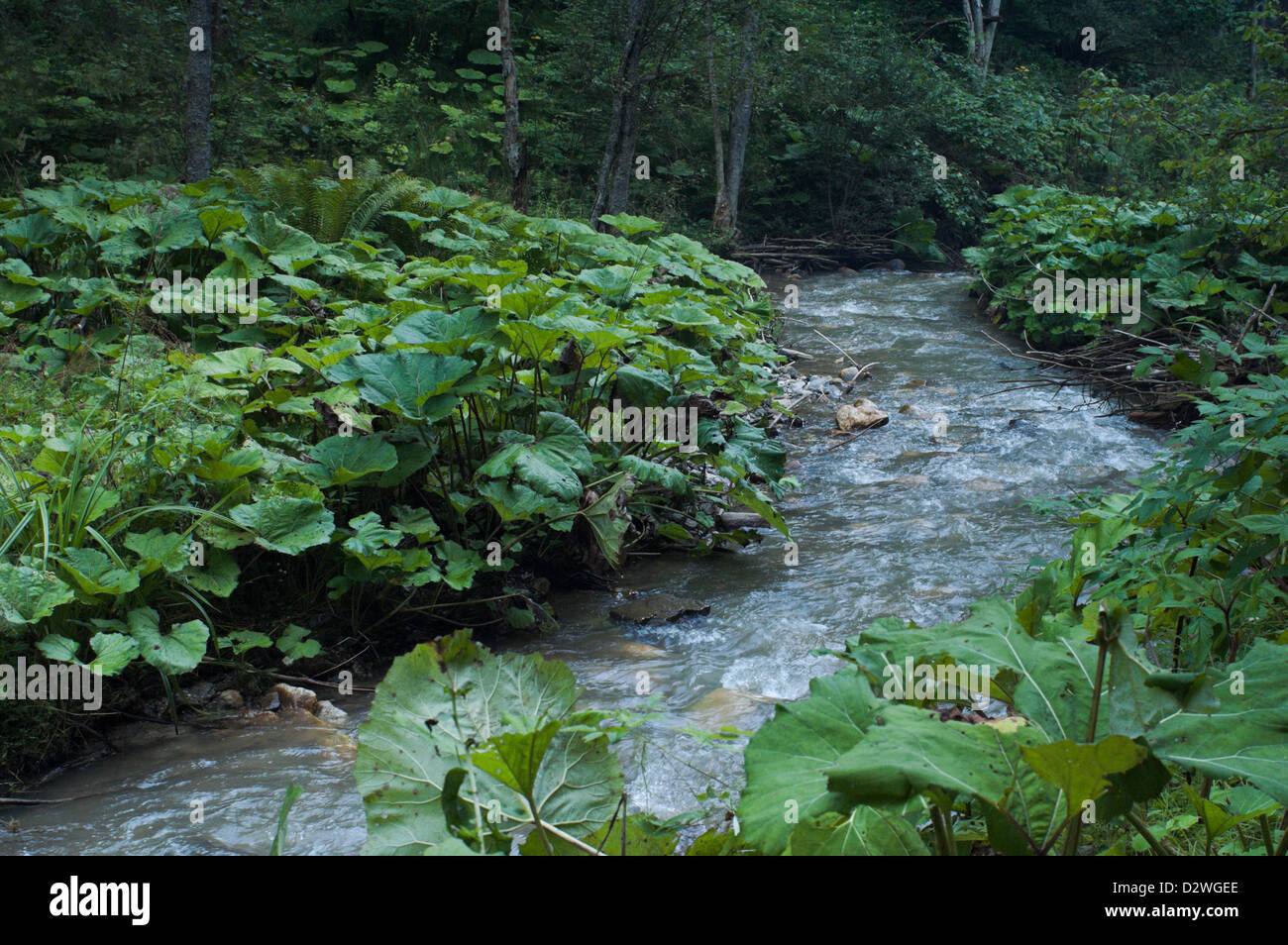 Sinuous river hi-res stock photography and images - Alamy