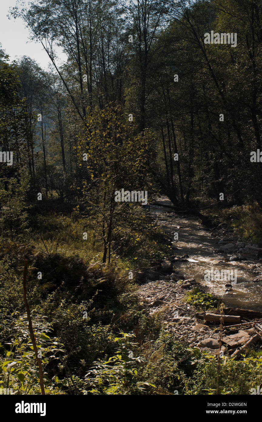 Sinuous river hi-res stock photography and images - Alamy