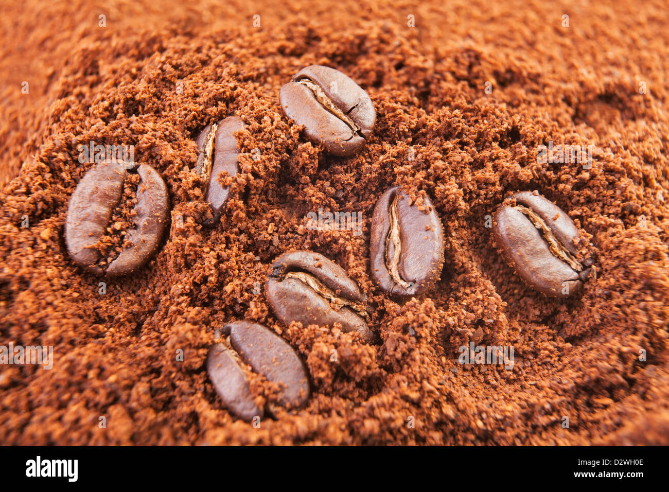 Roasted ground coffee beans hi-res stock photography and images - Alamy