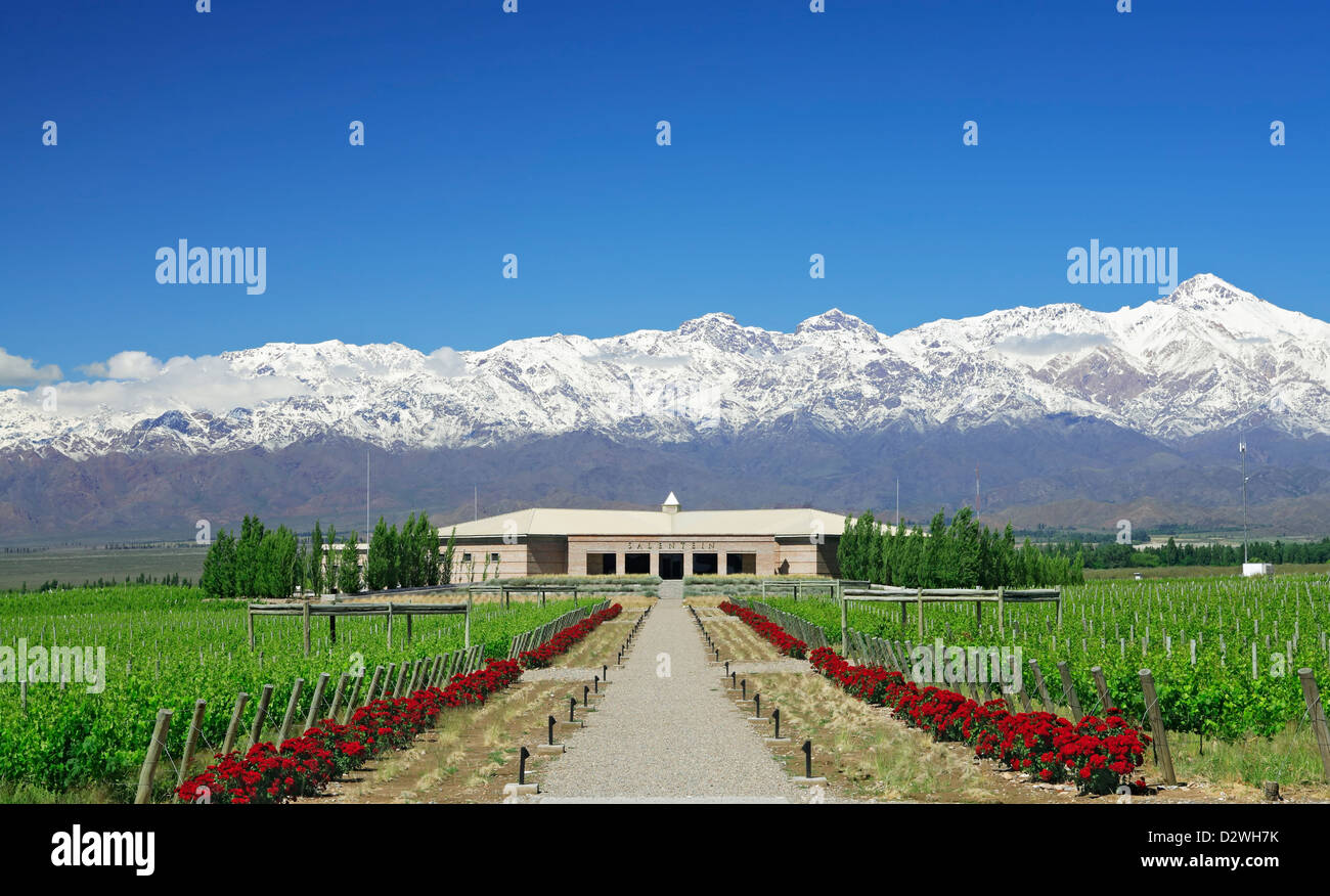 Vineyards, wine cellar and snow-covered Andes Mountains, Bodega ...