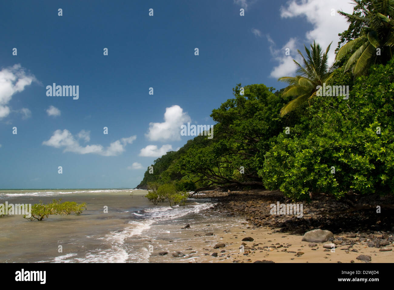 Rainforest meets the sea hi-res stock photography and images - Alamy