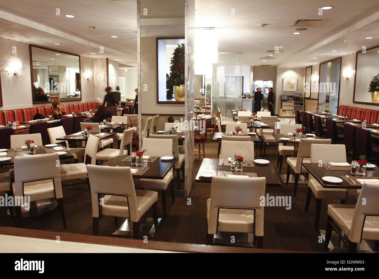 Sfa cafe hi-res stock photography and images - Alamy