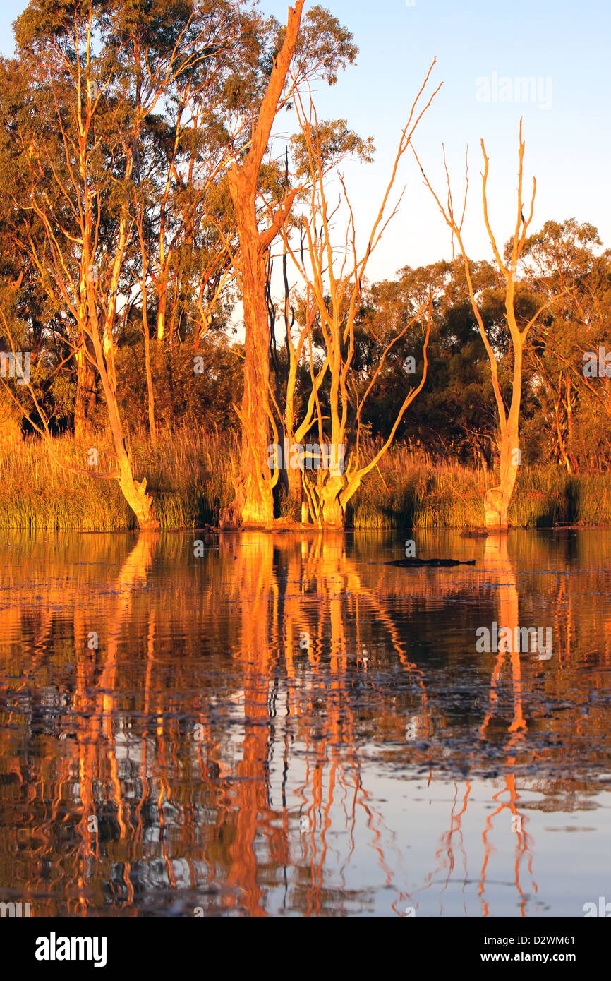 Australian billabong hi-res stock photography and images - Alamy