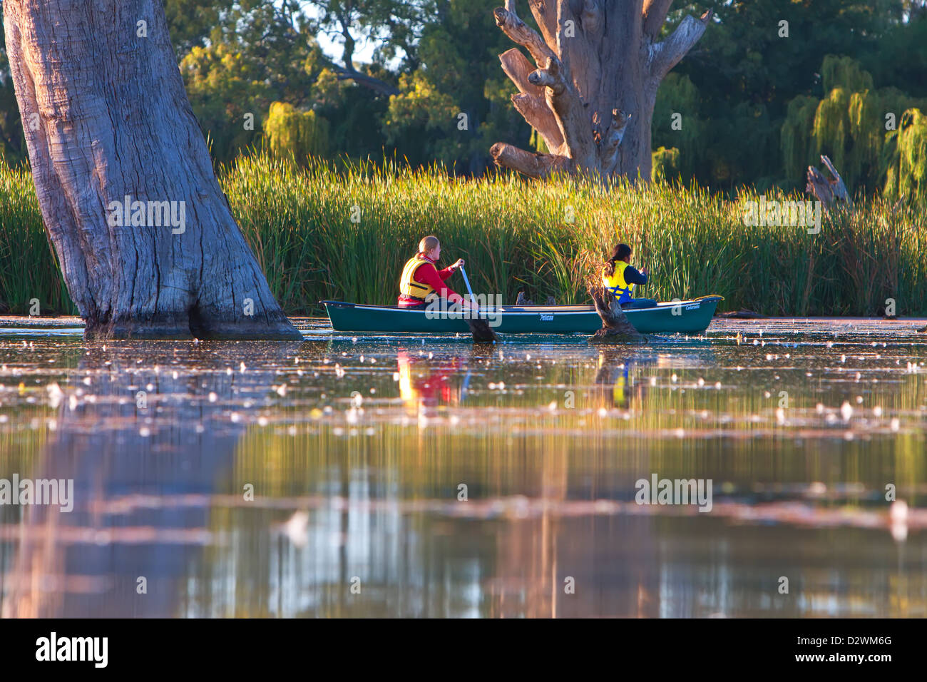 Back in water hi-res stock photography and images - Alamy