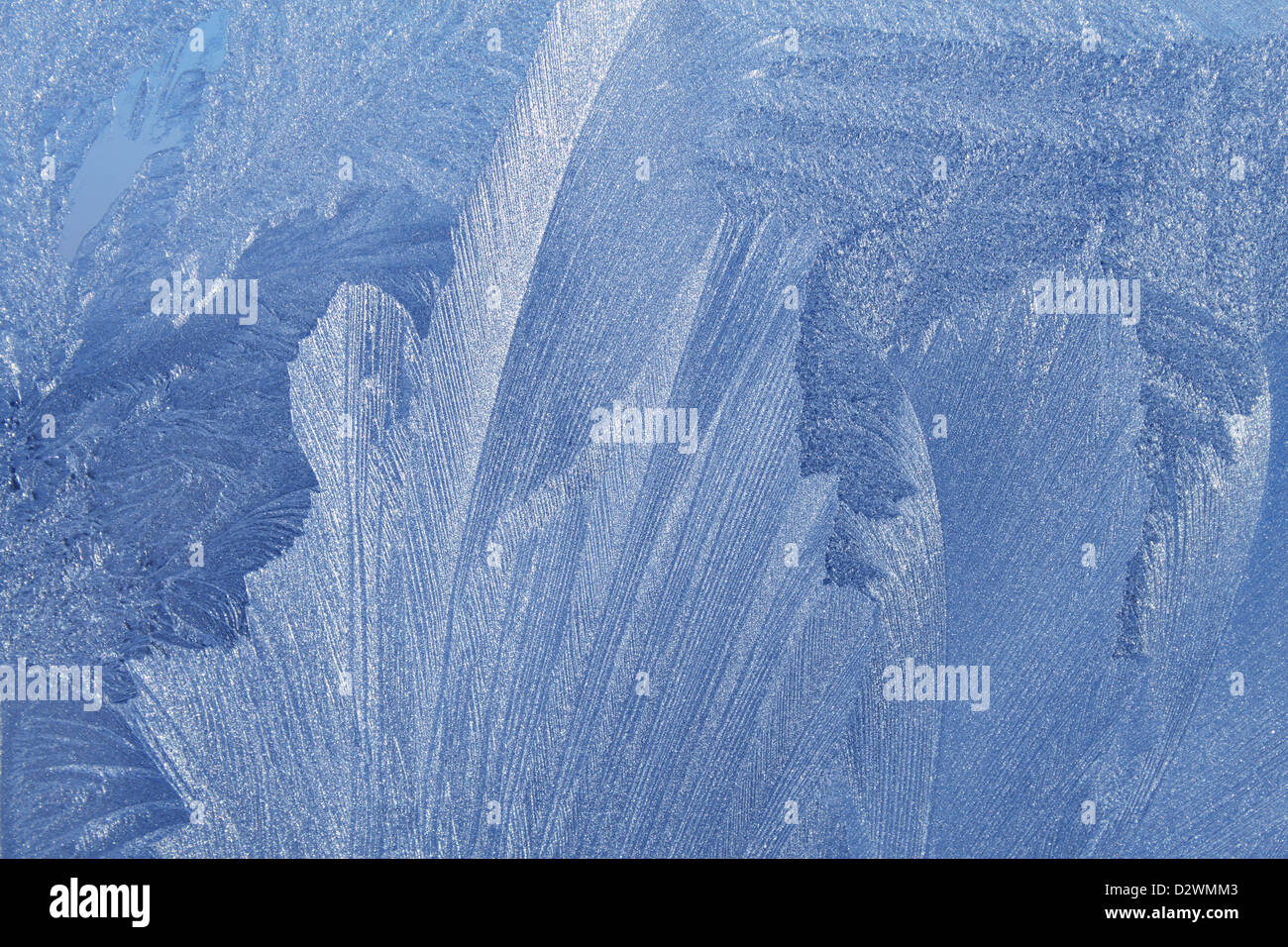 blue ice pattern on winter glass Stock Photo - Alamy
