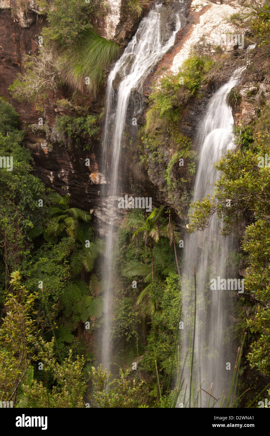 Springbrook National Park, Waterfall Circuit, Gold Coast Hinterland ...