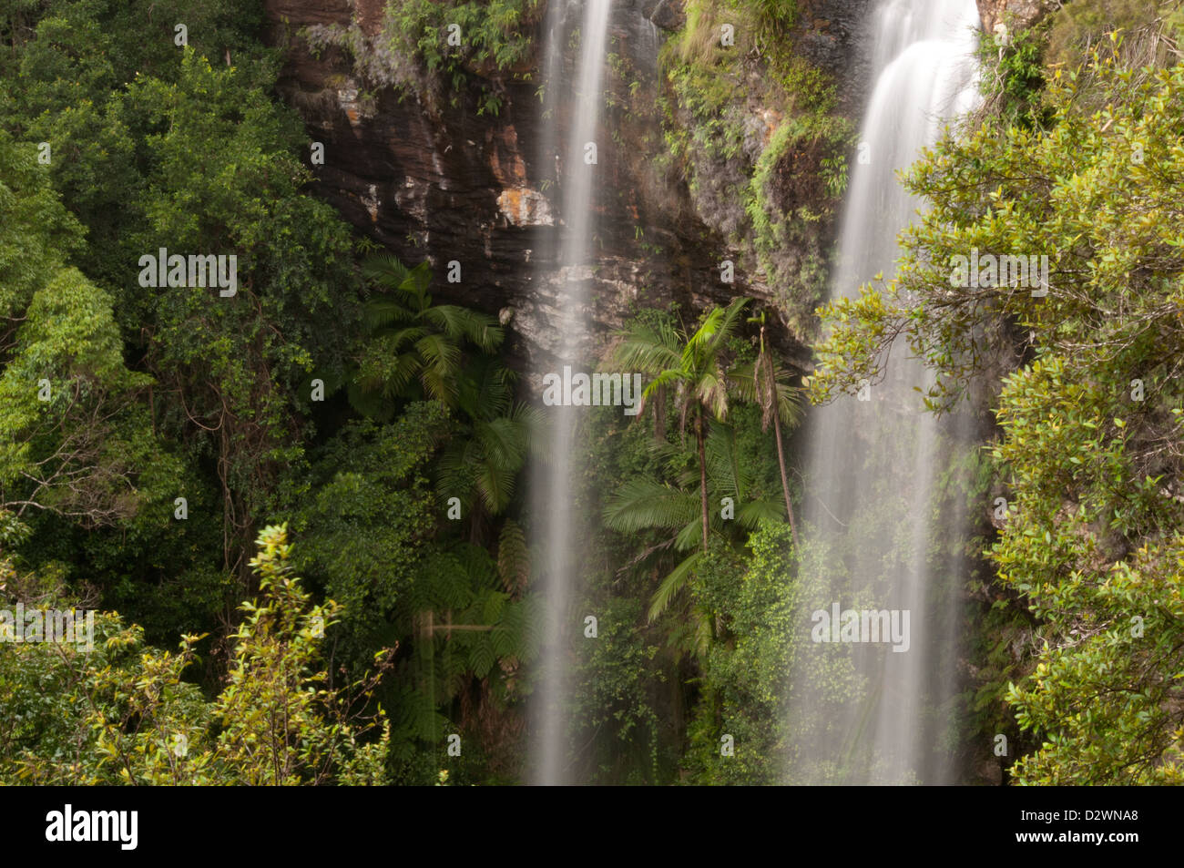Springbrook National Park, Waterfall Circuit, Gold Coast Hinterland ...