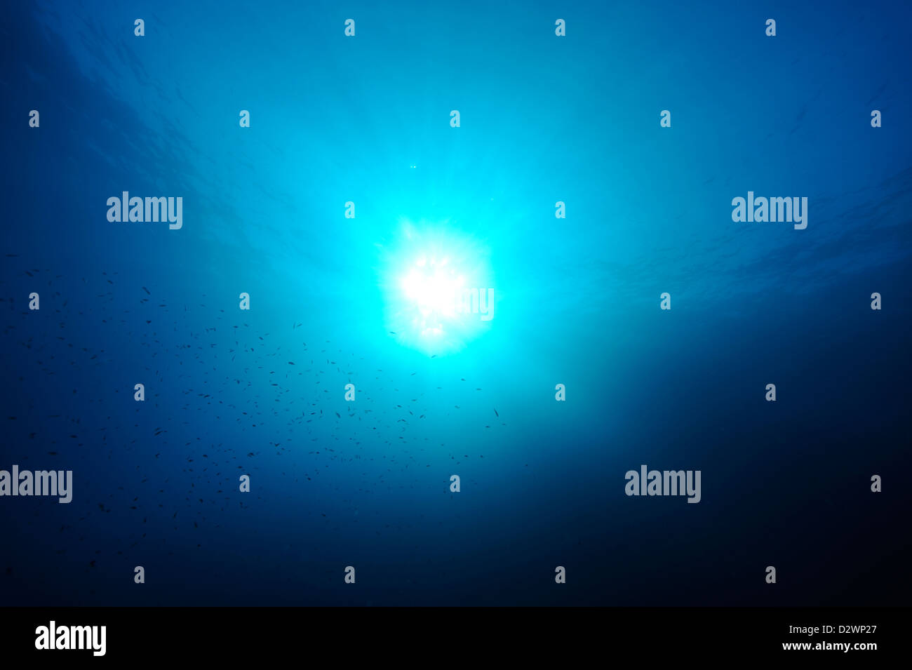 Underwater sunrays hi-res stock photography and images - Alamy