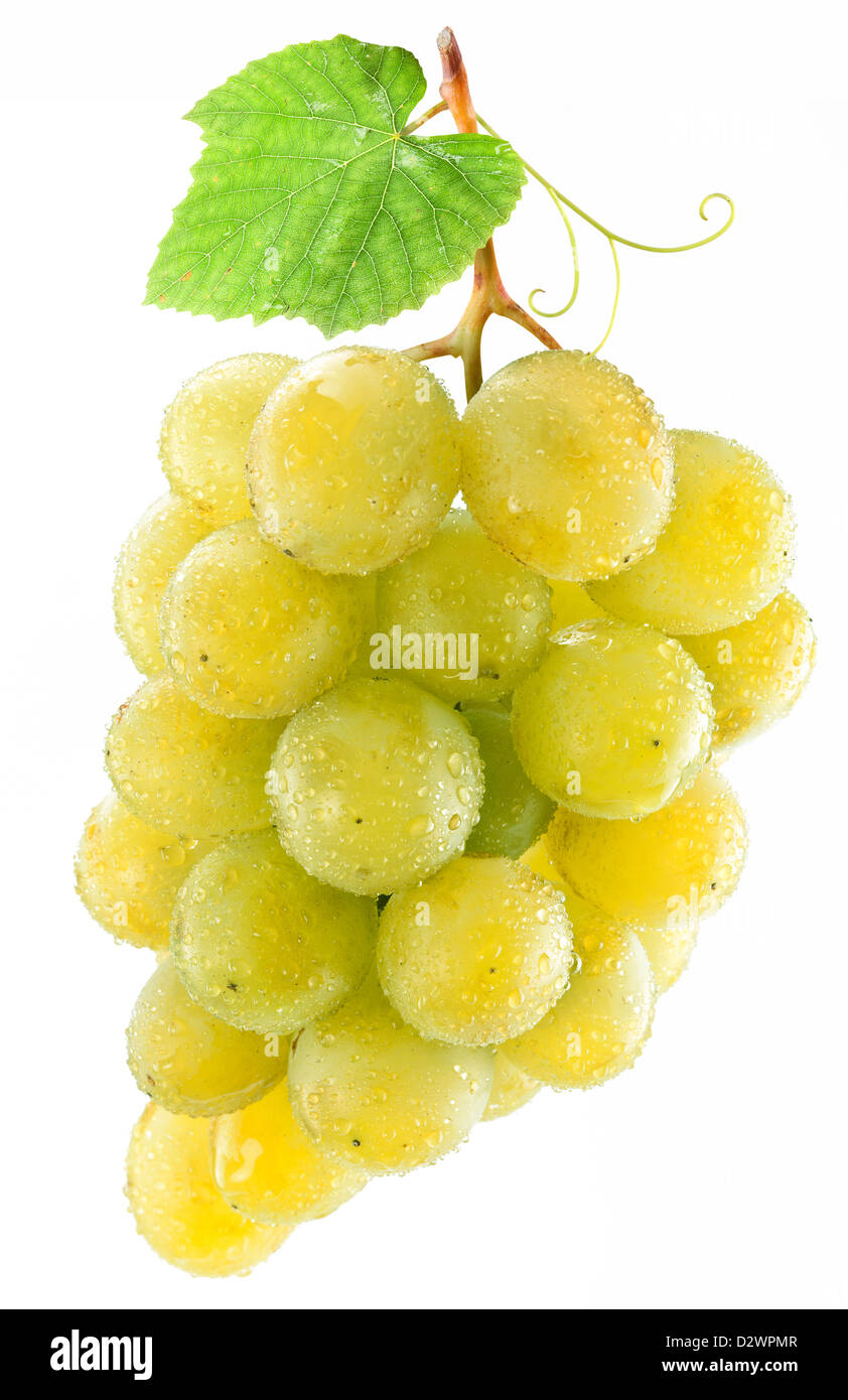 Grapes white background and leaf hi-res stock photography and images ...