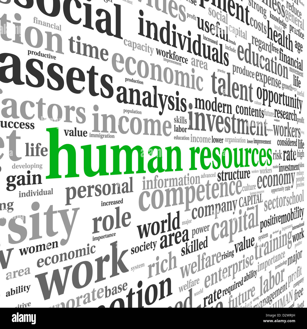 Human Capital Investment