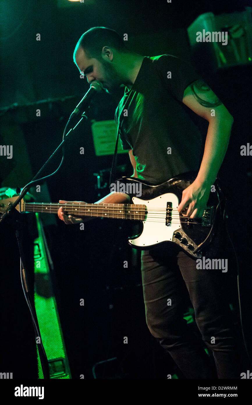 Arcane Roots High Resolution Stock Photography and Images - Alamy