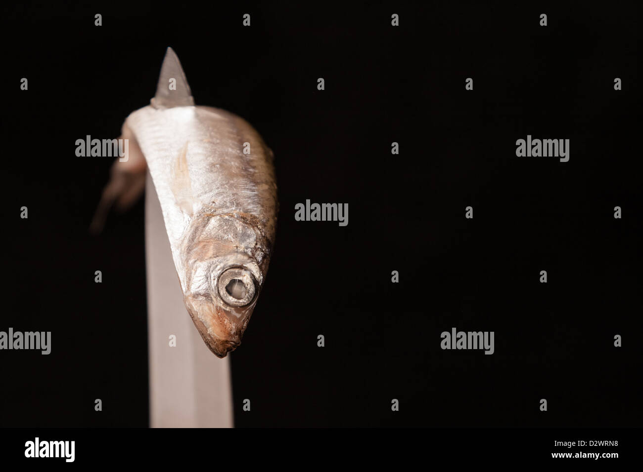 dead small fish contorted on blade of knife Stock Photo - Alamy