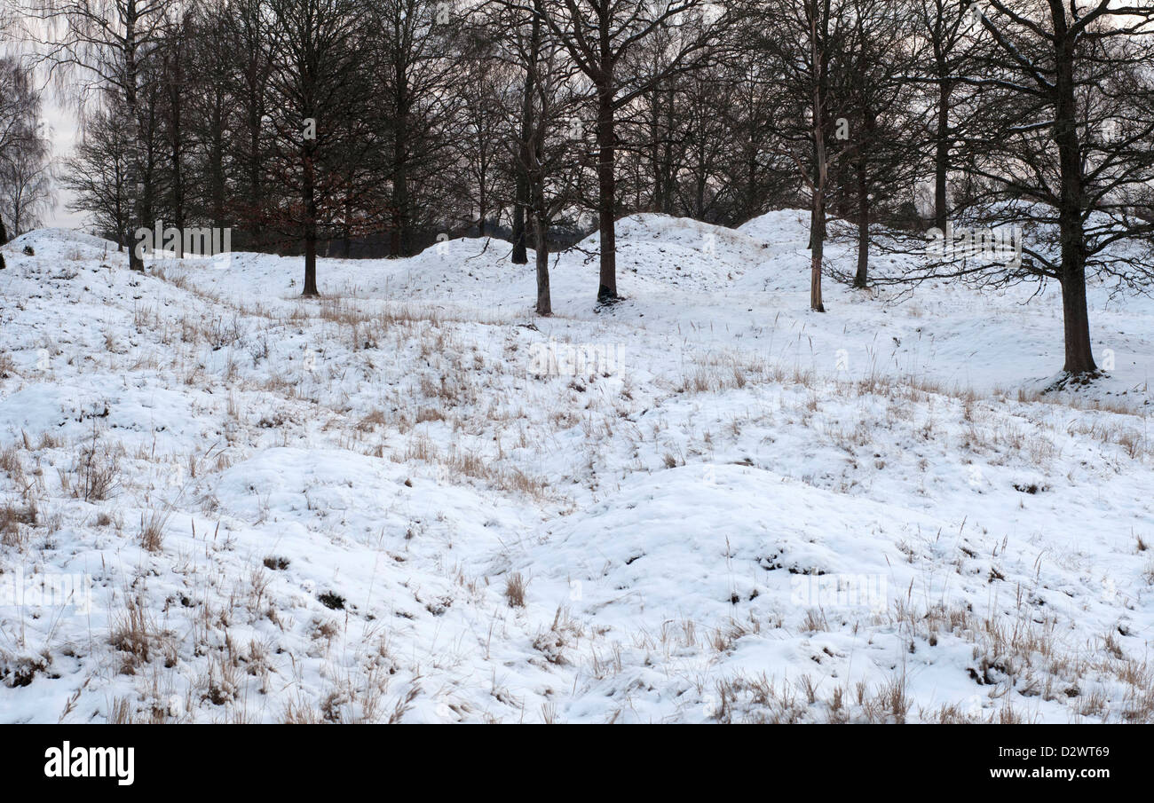 Old grave-field with severel burial-mounds near Ljungby Stock Photo - Alamy