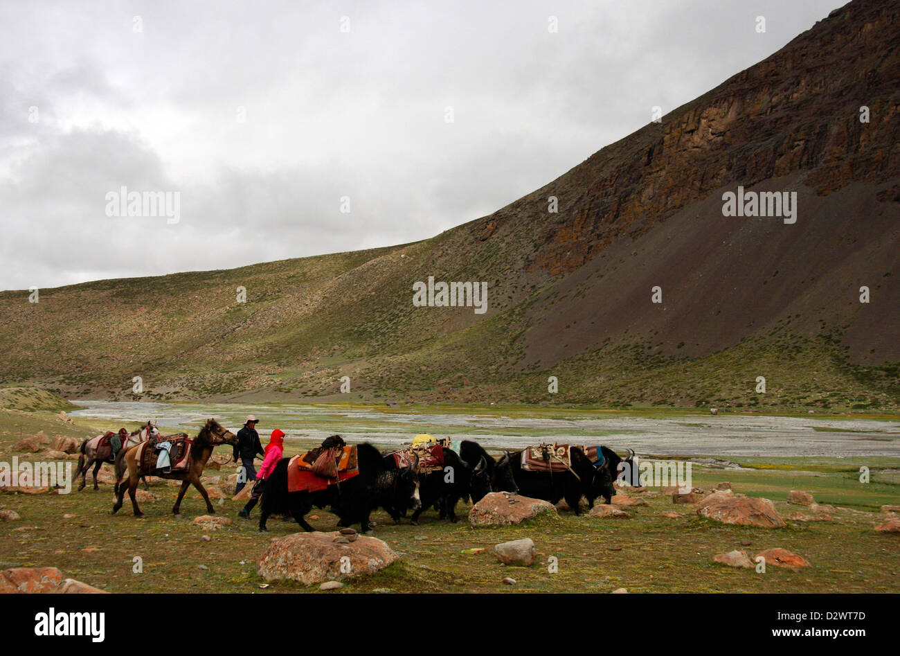 Holy Mount Kailash in western Tibet Stock Photo - Alamy