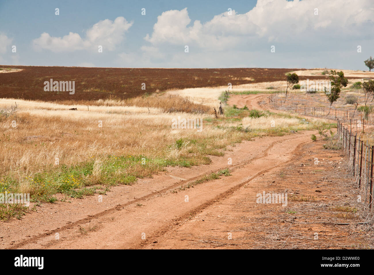 Israel. A dirt road in the Lower Galilee, part of the "Springs valley ...