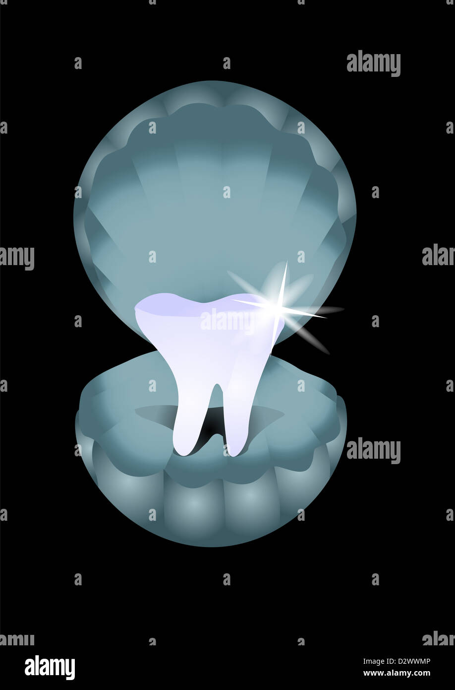 shell with a tooth isolated on black background Stock Photo - Alamy