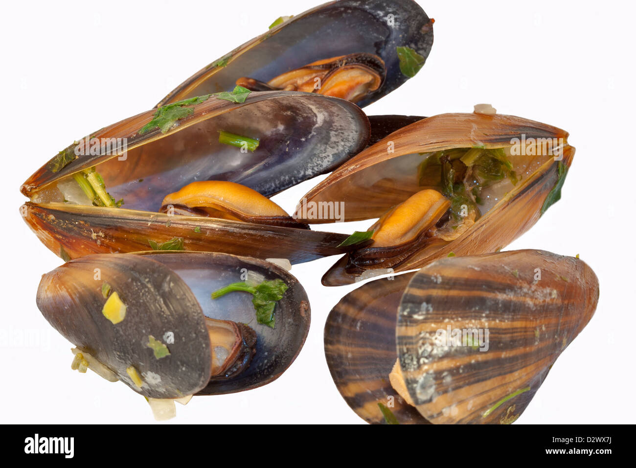 mussels cooked in the shell with herbs, isolated on white Stock Photo ...
