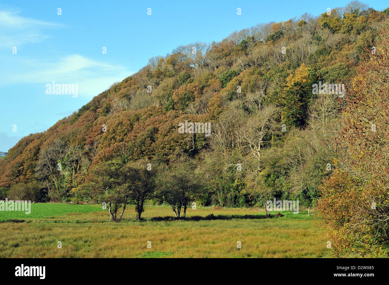 Llanilar hi-res stock photography and images - Alamy