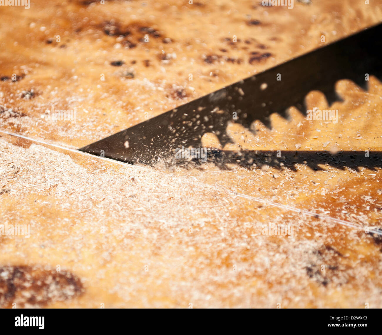 Saw cutting wood close-up view Stock Photo - Alamy