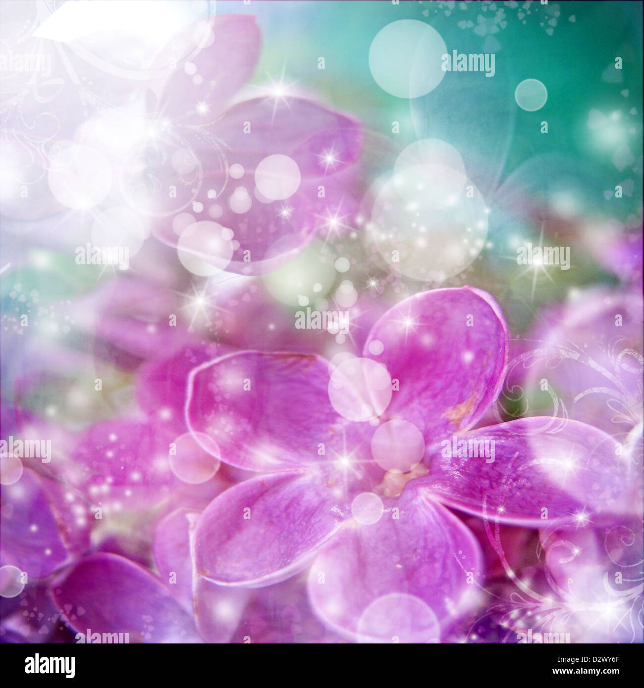 soft spring blossoms Stock Photo - Alamy