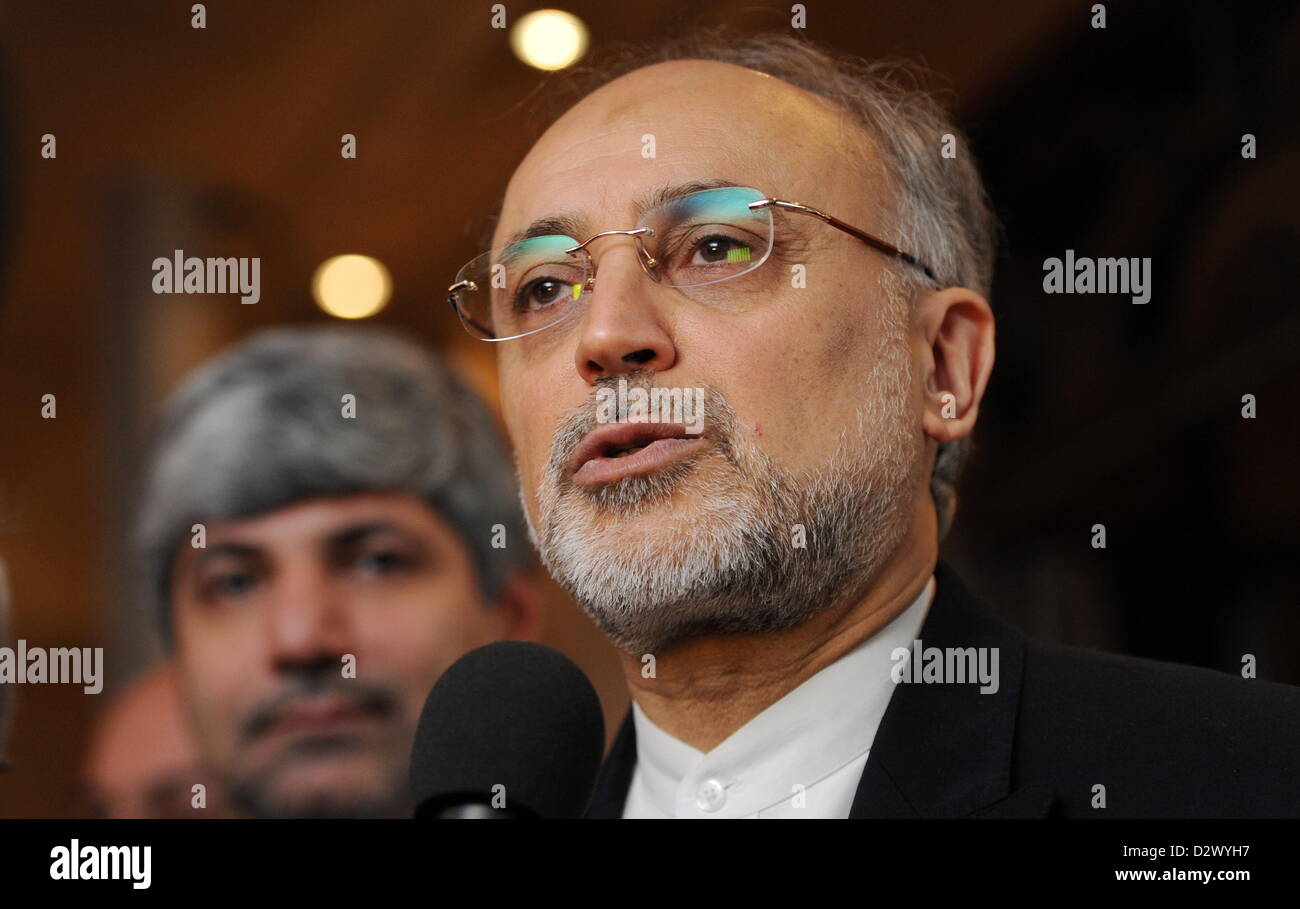 Iranian Foreign Minister, Ali Akbar Salehi, speaks to reporters on the ...