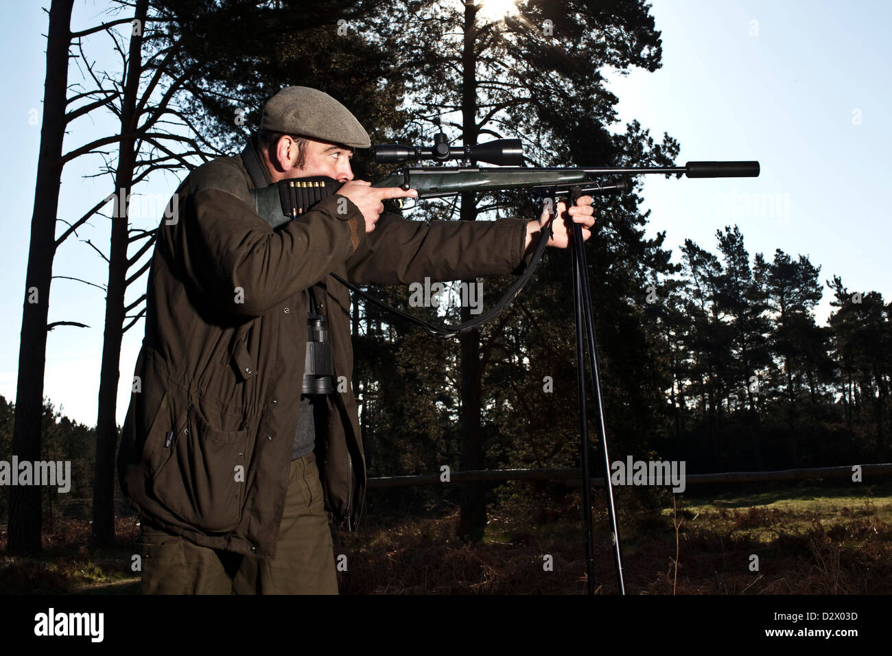 Deer hunter aiming rifle in Thetford forest, UK Stock Photo - Alamy