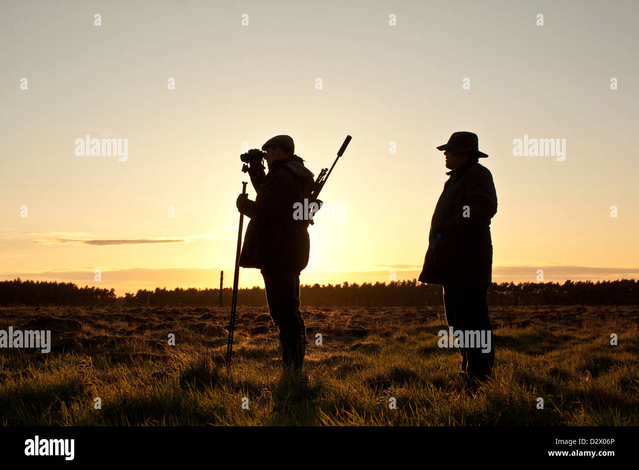 English hunters hi-res stock photography and images - Alamy