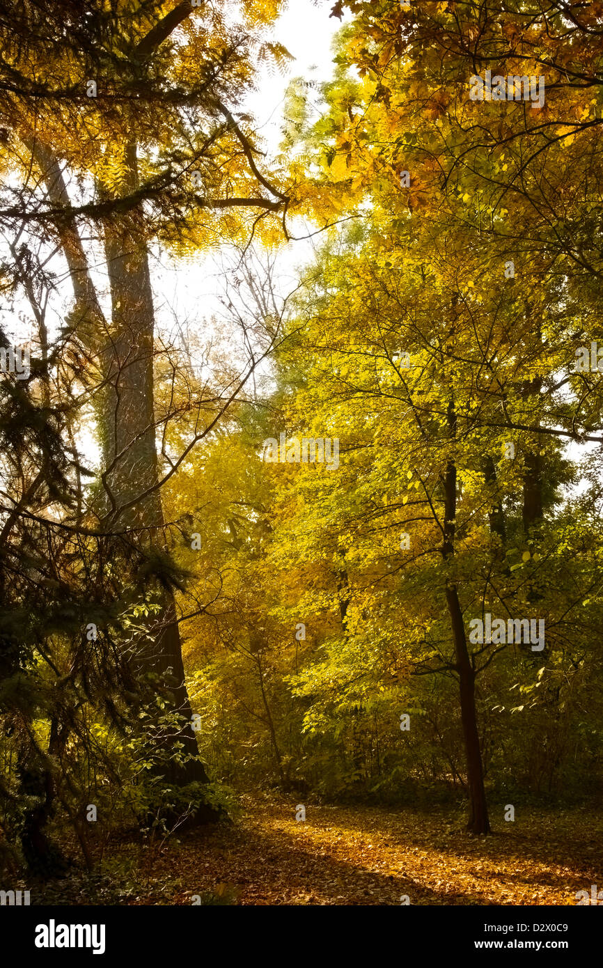 Margaret Island Budapest Hungary Stock Photo - Alamy
