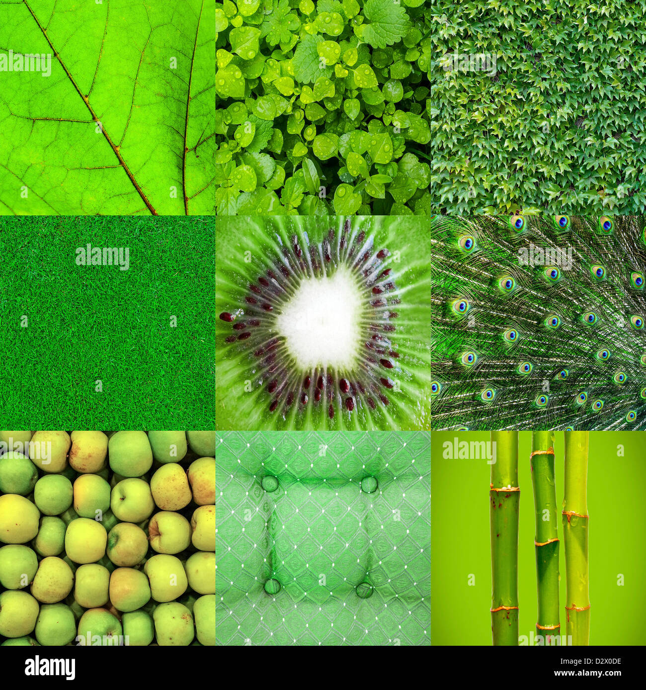 Flora and fauna collage hi-res stock photography and images - Alamy