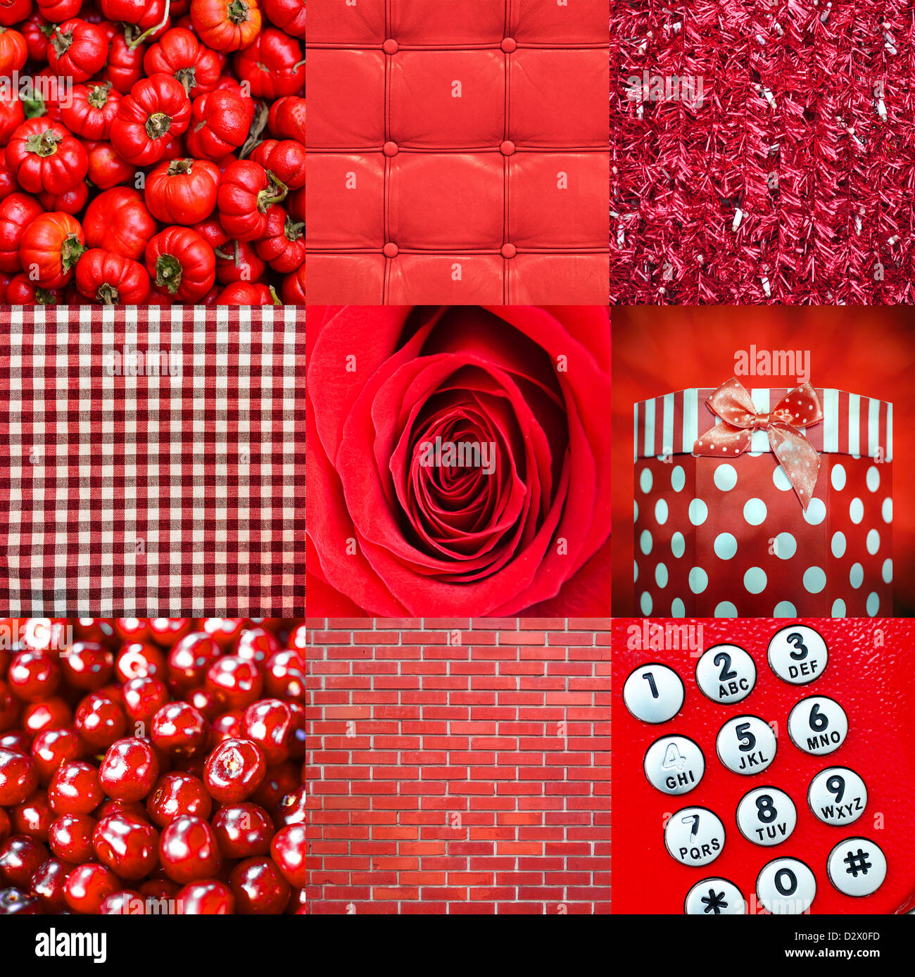 Flora and fauna collage hi-res stock photography and images - Alamy