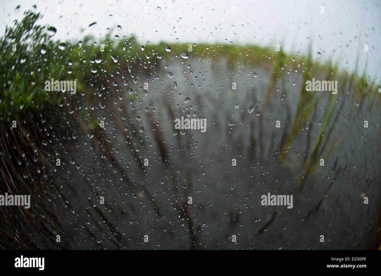 Gulf of texas drought hi-res stock photography and images - Alamy