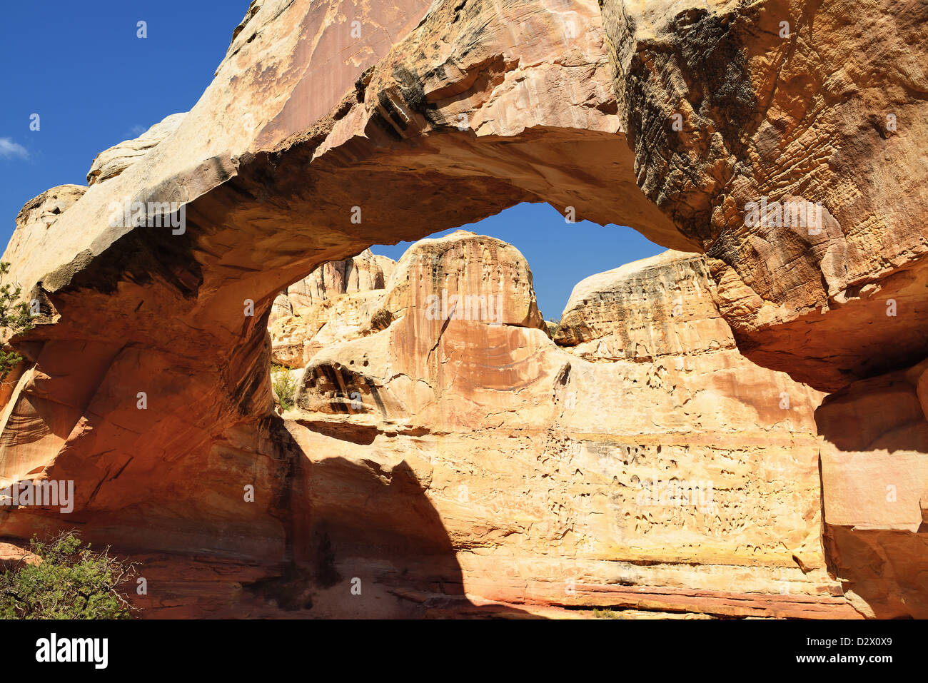 Famous Hickman Bridge, utah, capitol reef, USA Stock Photo - Alamy