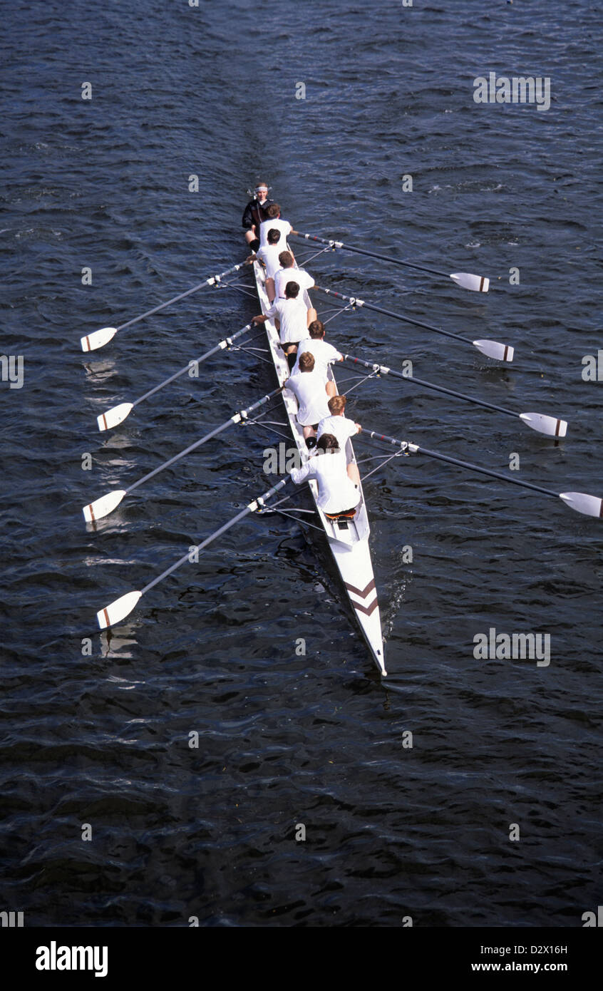 Cox and rowing crew hi-res stock photography and images - Alamy