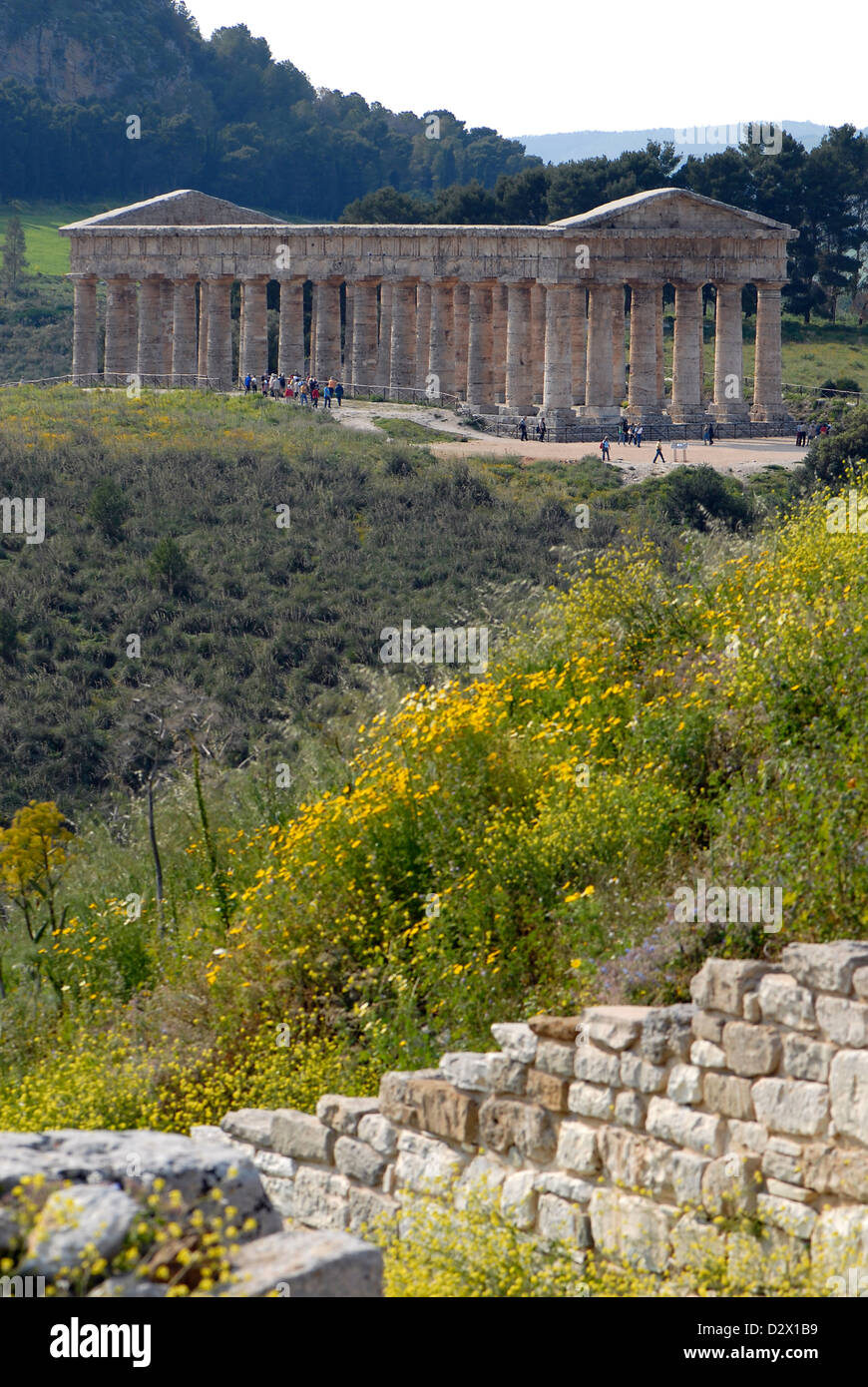 The greek temple of segeste hi-res stock photography and images - Alamy
