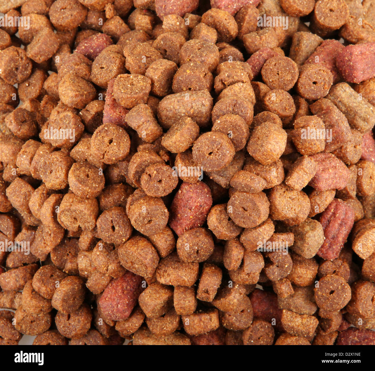 dry dog food Stock Photo - Alamy