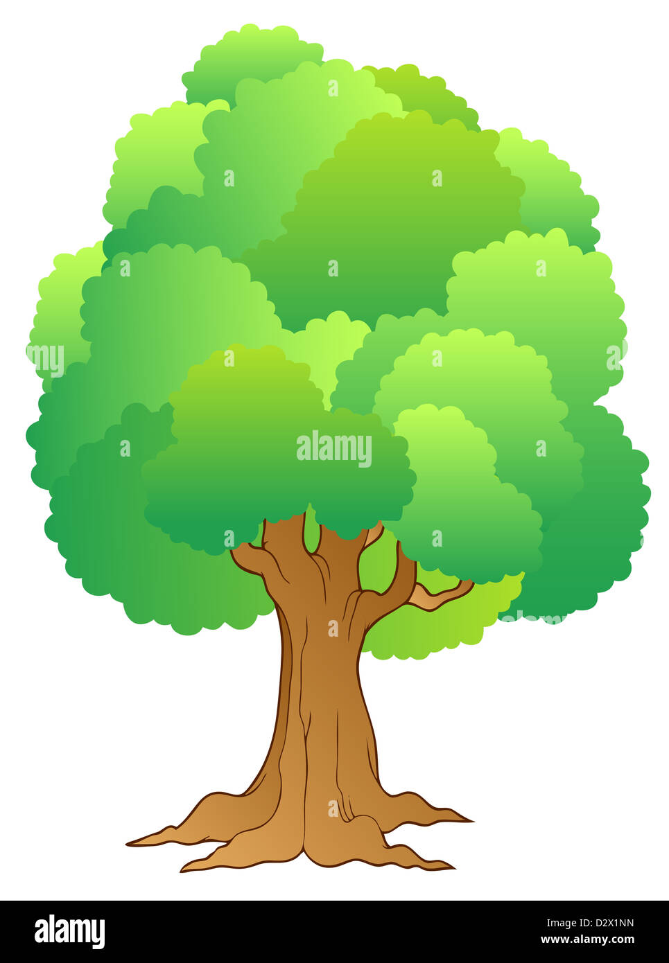Big tree with green treetop - isolated illustration Stock Photo - Alamy