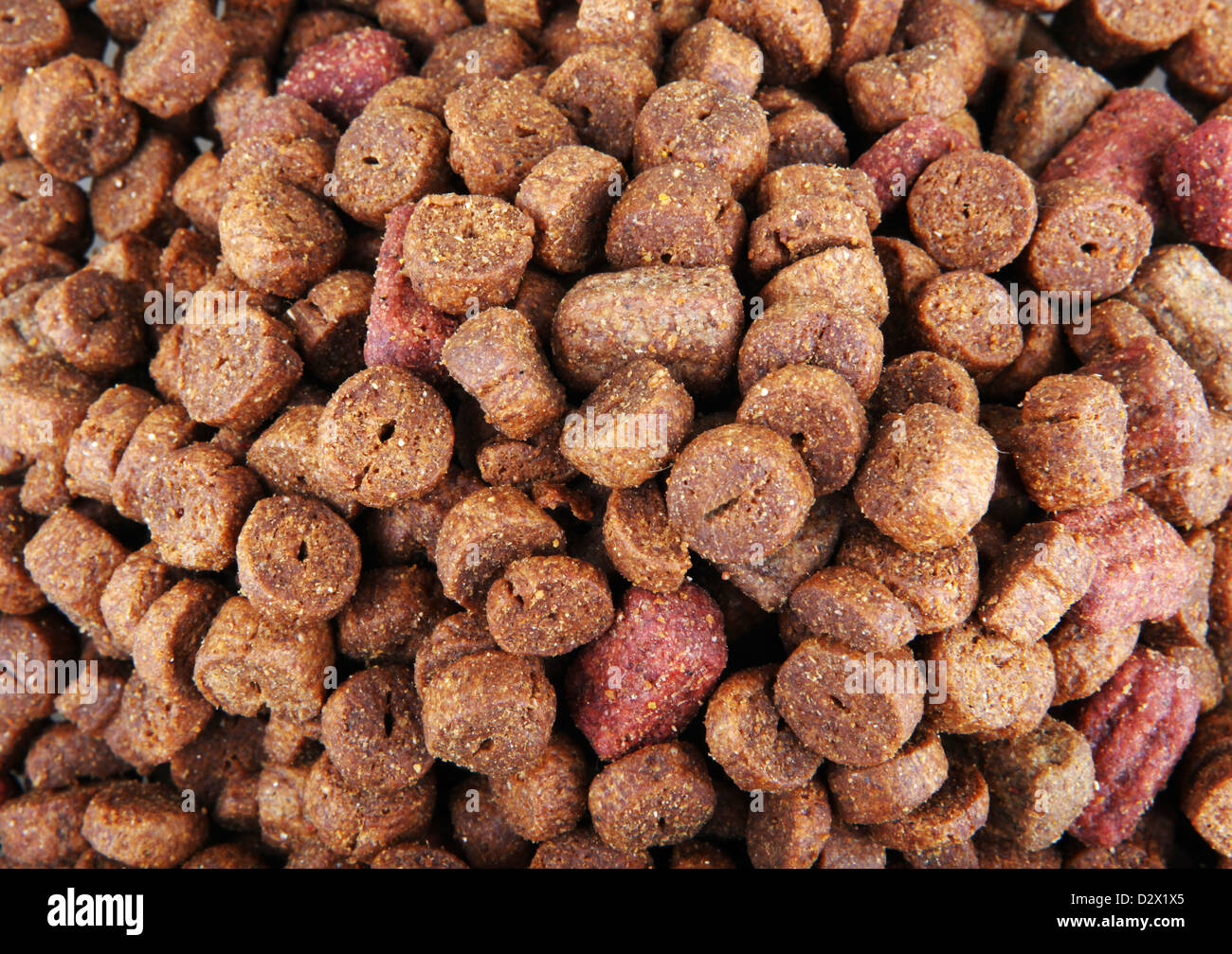 dry dog food Stock Photo - Alamy