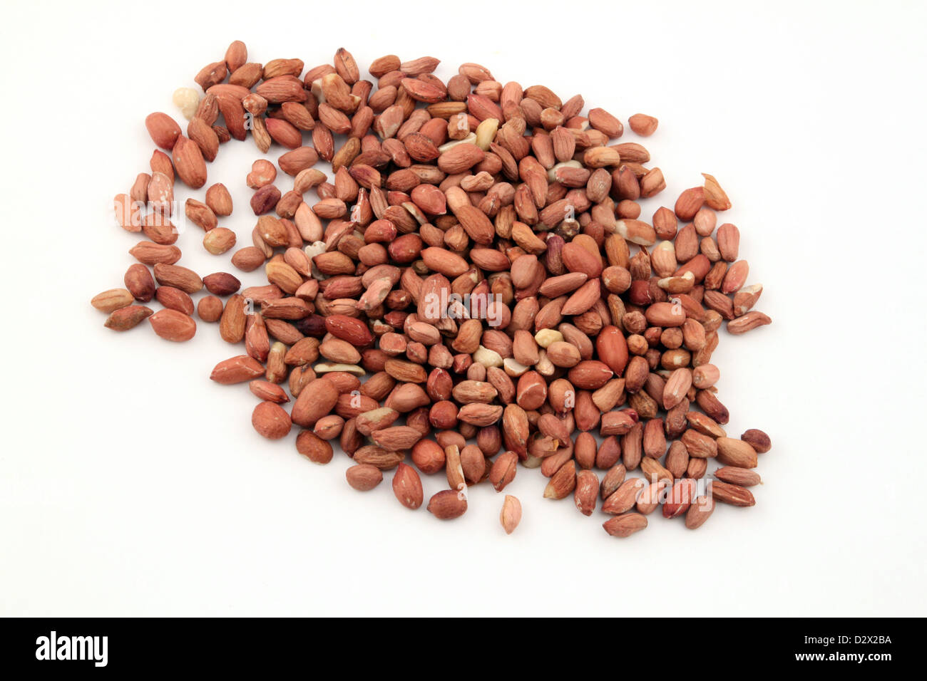 Roasted peanuts or groundnuts on a white background Stock Photo - Alamy
