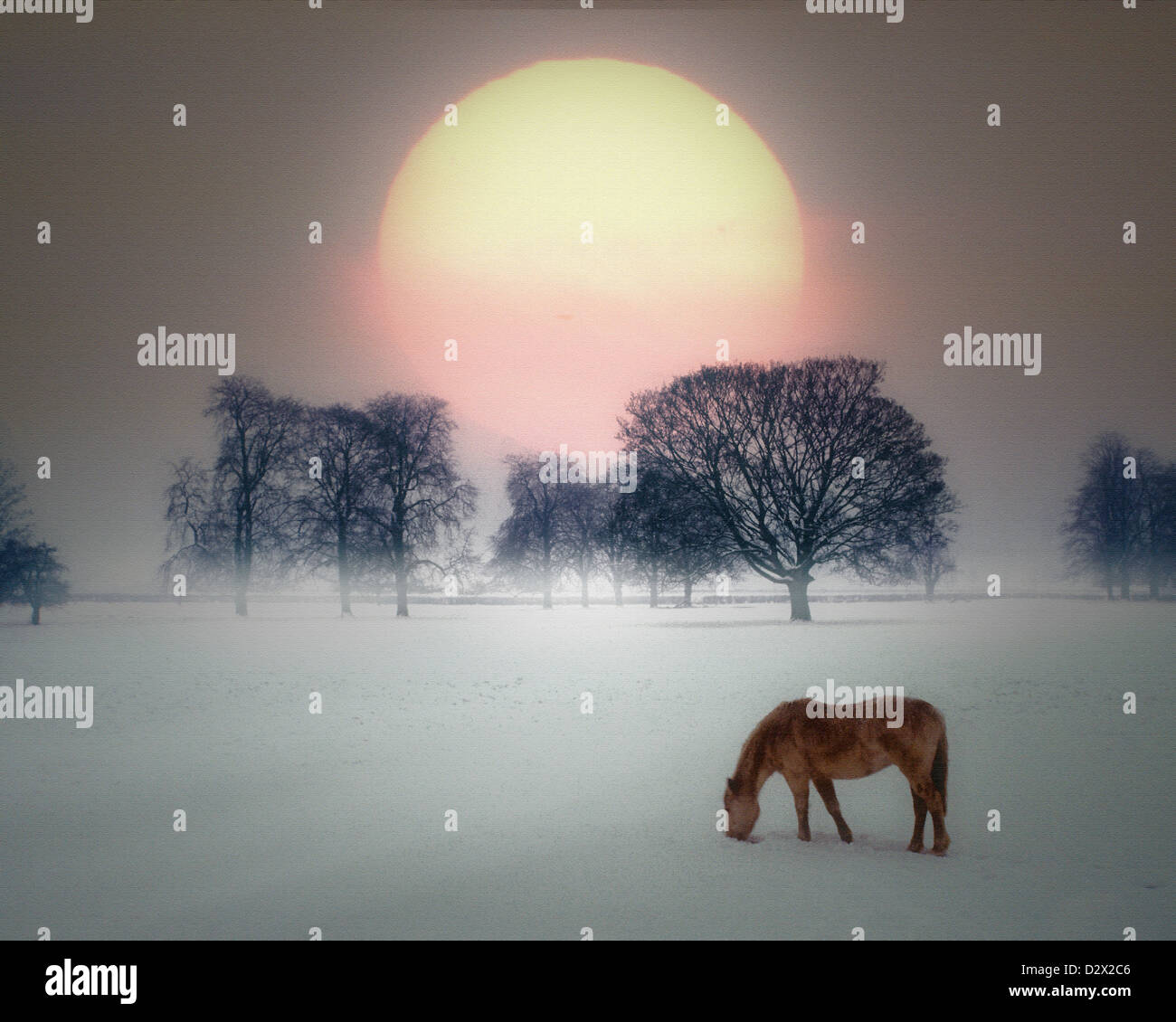 GB - BUCKINGHAMSHIRE: Flint Hall Farm at West Wycombe Stock Photo - Alamy
