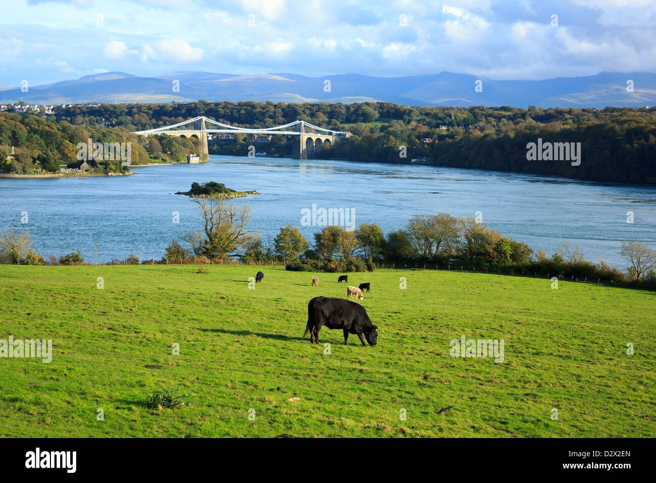 A beautiful view of the Anglesey Bridge in Wales with backdrop of ...